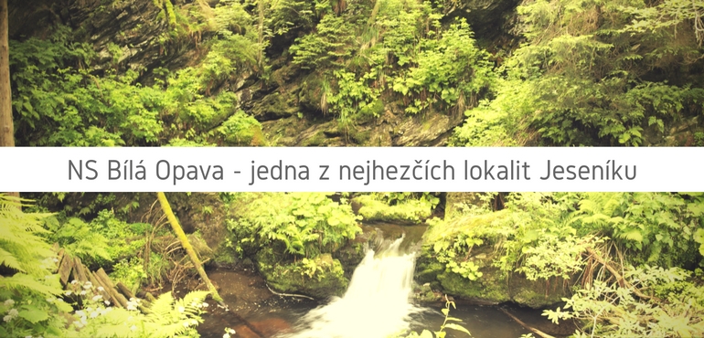 NS Bílá Opava - jedna z nejhezčích lokalit Jeseníku - S baťůžkem